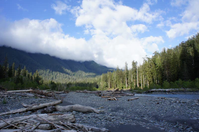 Backpack the Hoh River Trail, Hoh Rainforest Visitor Center