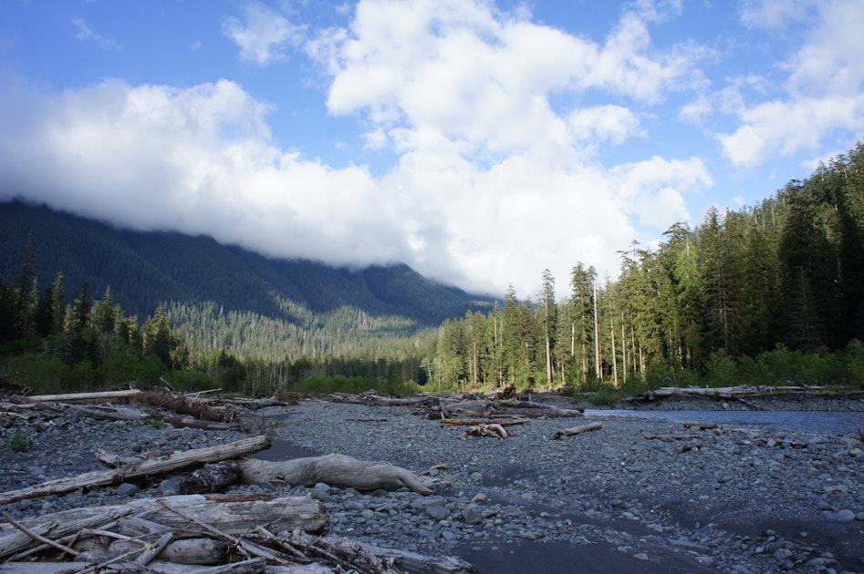 Backpack the Hoh River Trail, Washington