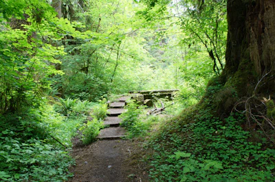 Backpack the Hoh River Trail, Hoh Rainforest Visitor Center
