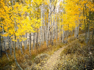 Hike to Marshall Ridge, Fishhook Creek Trailhead