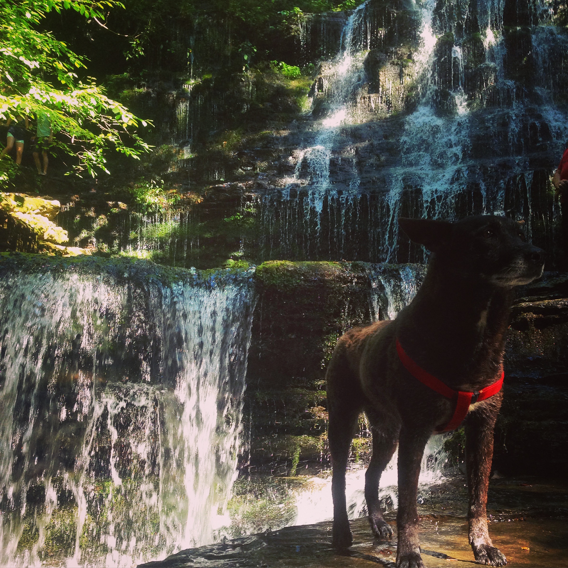 Machine Falls Loop at Short Springs Natural Area, Tullahoma, Tennessee