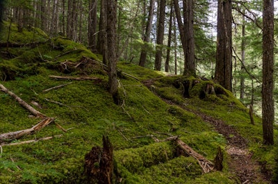 Explore Hellroaring Falls, Hell Roaring Falls Trailhead