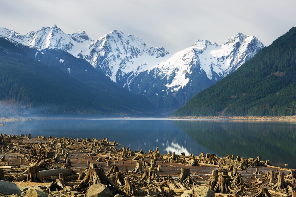 Paddle on Jones Lake, BC, Fraser Valley D, British Columbia