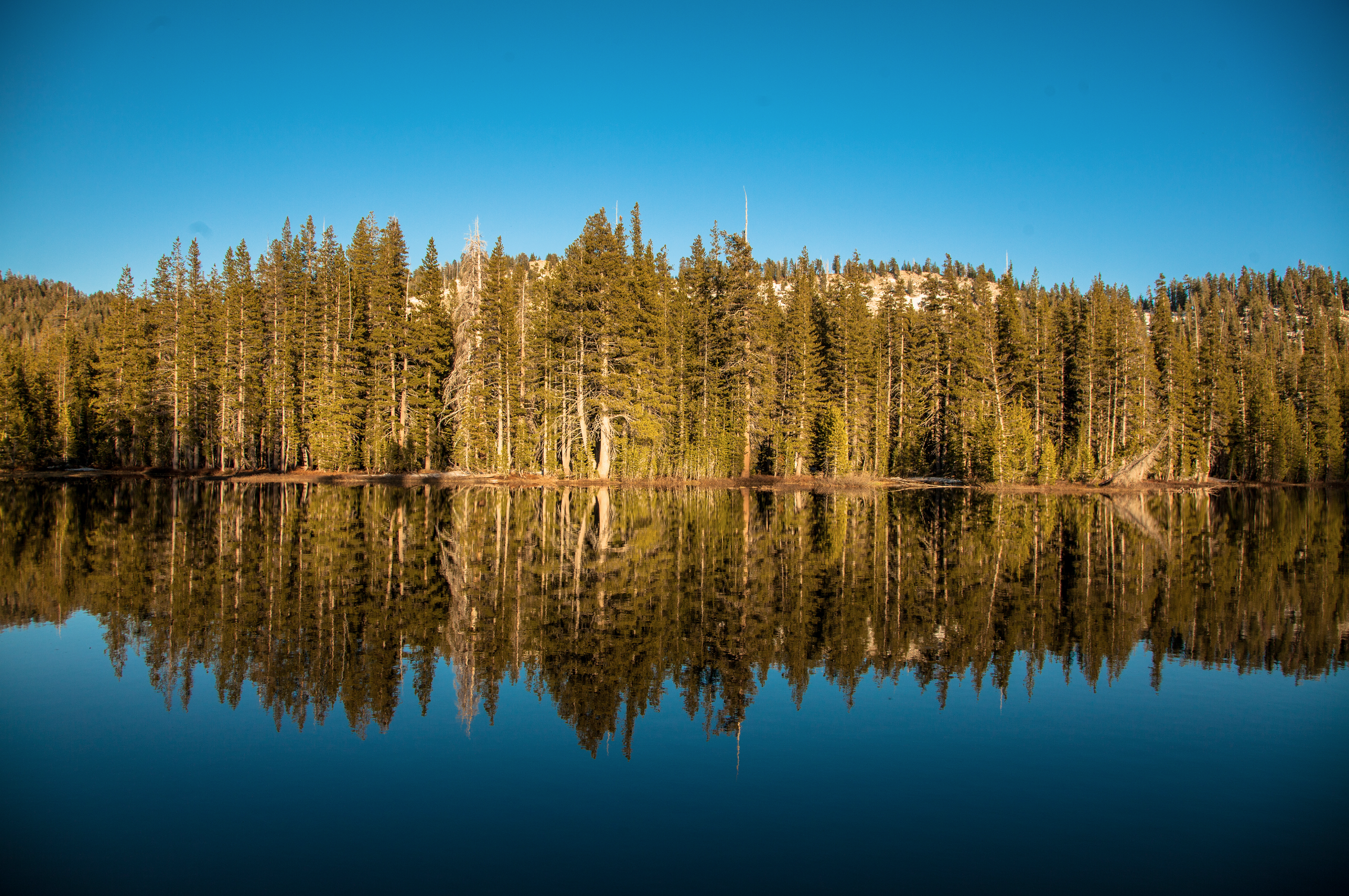 Johnson Lake via Chilnualna Falls Trailhead, Yosemite National Park ...