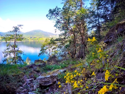 Run the Alberni Inlet Trail, Canada
