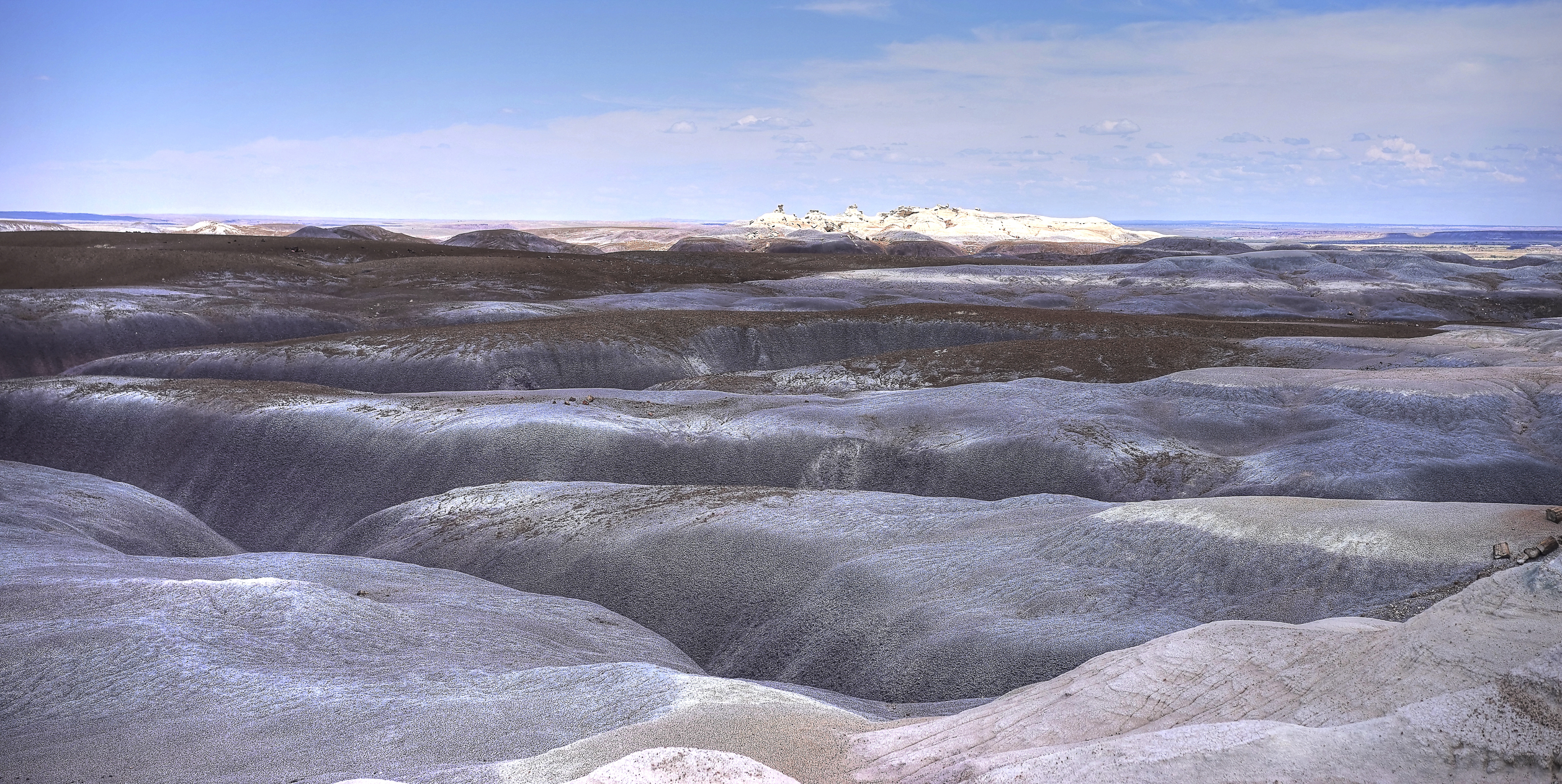 Hike the Blue Forest Trail in Petrified Forest NP, Chambers, Arizona