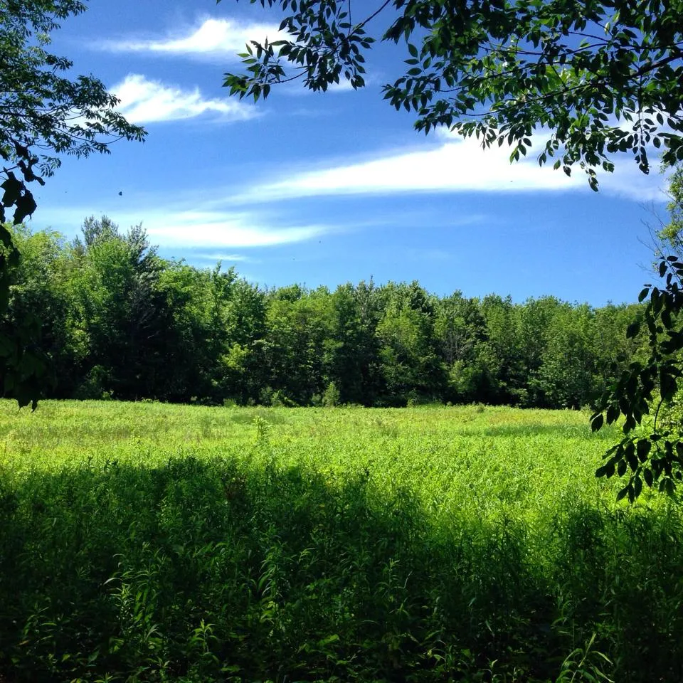 Hike the Glacier Flats Trail at Spicer Lake Nature Reserve, New ...