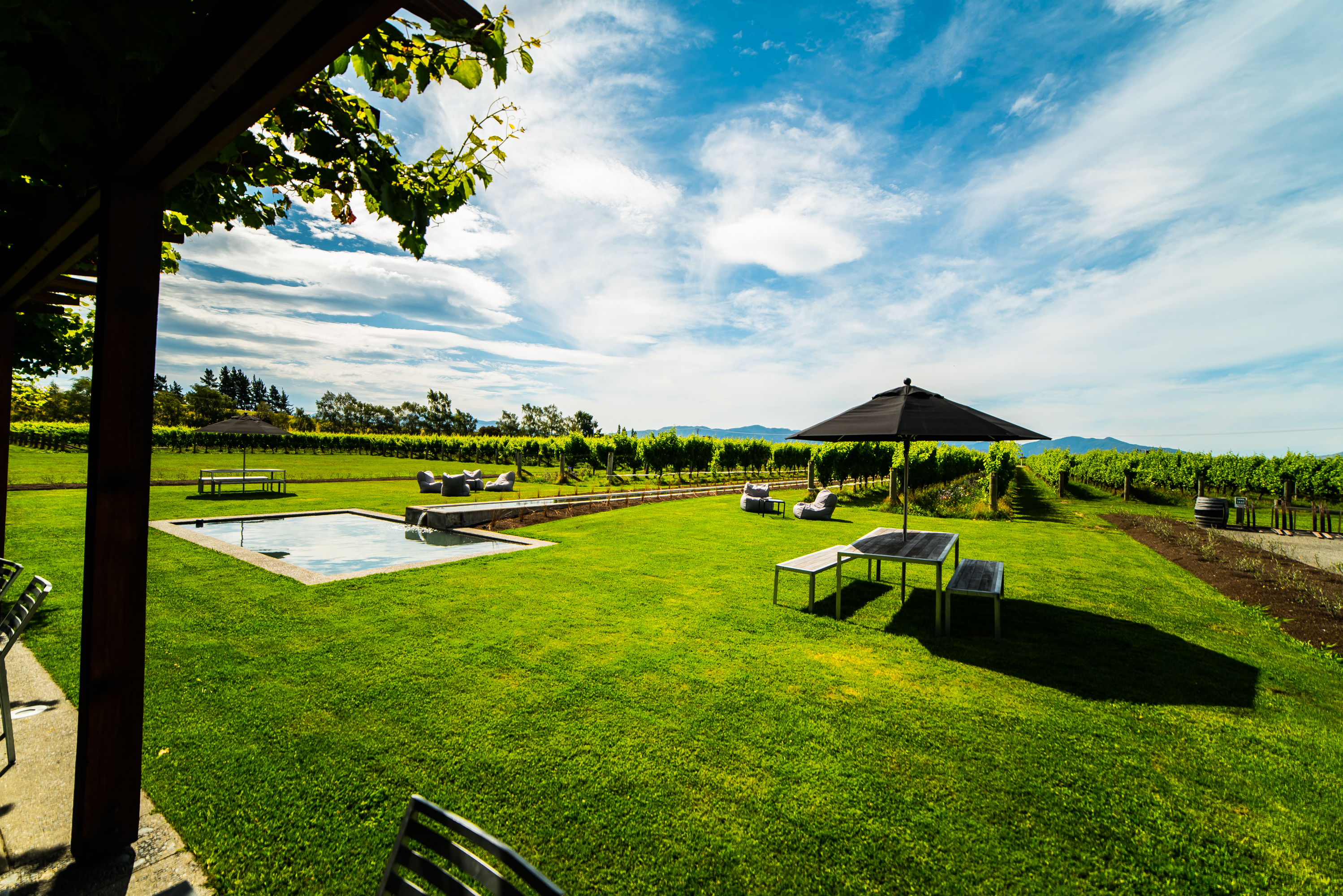 Bike Tour Renwick Wineries , Renwick, New Zealand