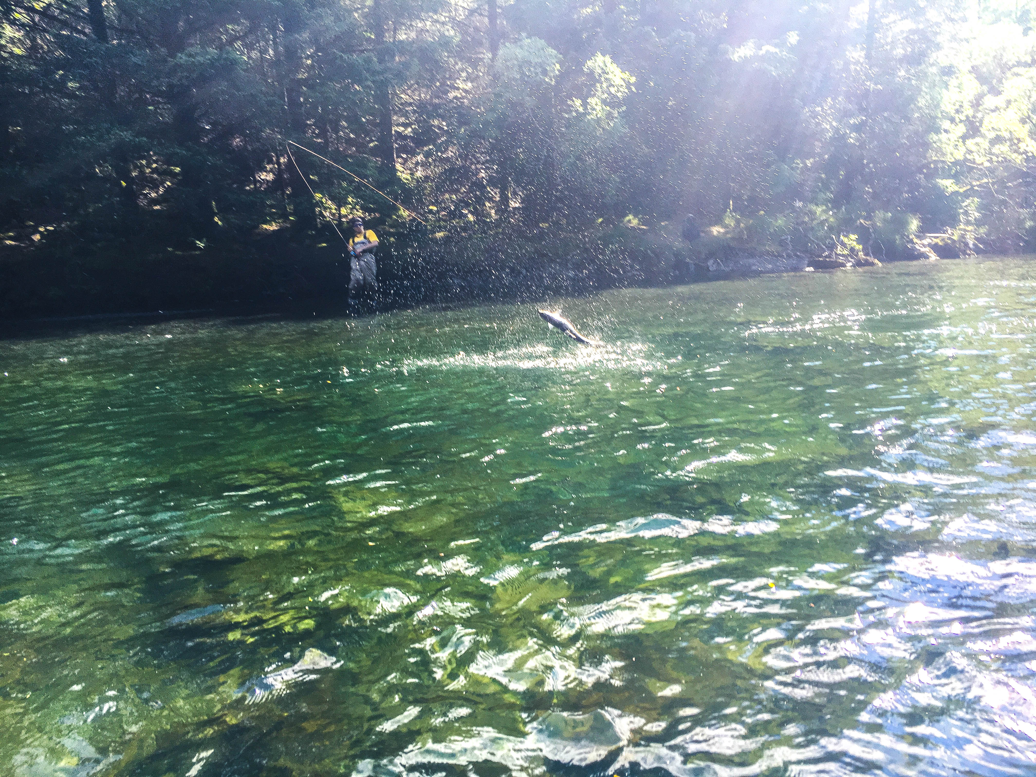 Photo of Fly Fish the Buskin River