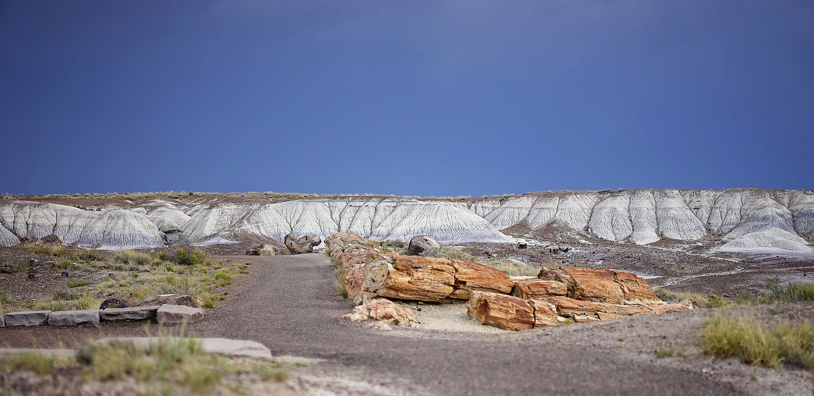 Crystal Forest Loop, Petrified Forest National Park, Arizona