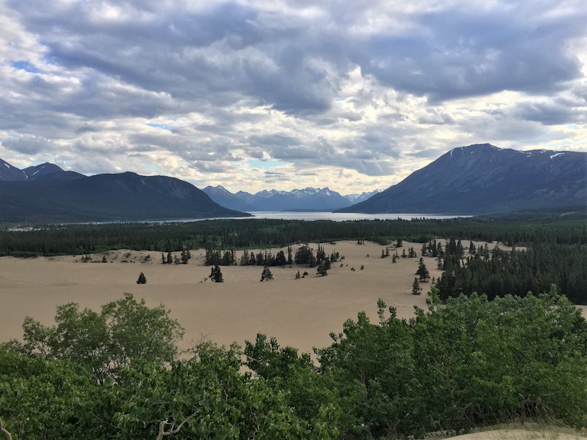 Explore the Carcross Desert, Carcross, Yukon