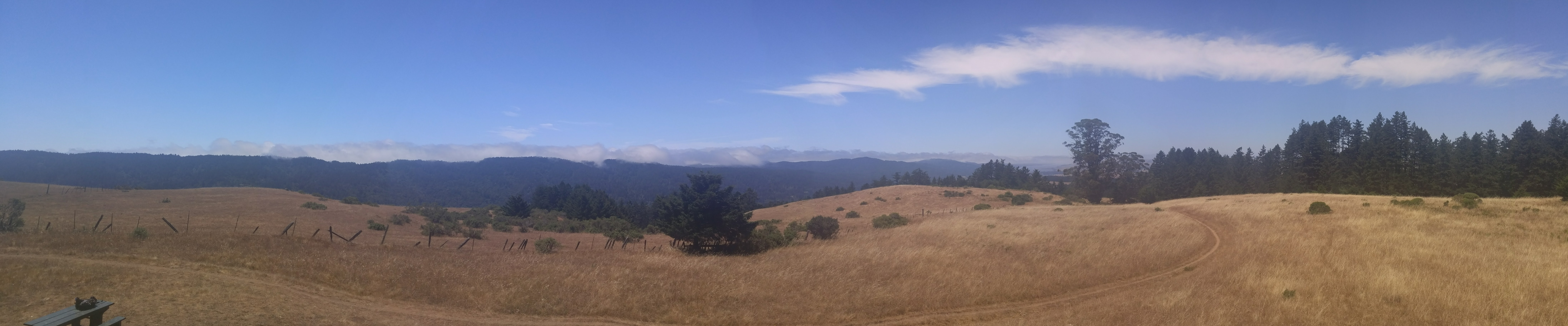 Photo of Hike the Bolinas Ridge Trail