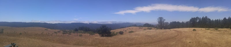 Photo of Hike the Bolinas Ridge Trail