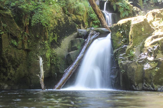 Sweet Creek Waterfall, Mapleton, Oregon
