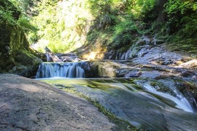 Hike to Sweet Creek Waterfall, Sweet Creek Waterfall Traiilhead