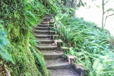 Hike to Sweet Creek Waterfall, Sweet Creek Waterfall Traiilhead