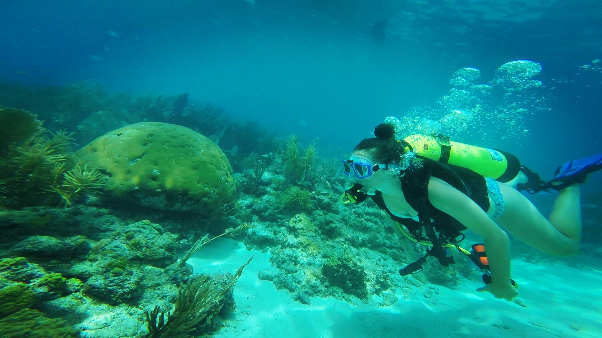 Photo of Snorkel at Sombrero Reef