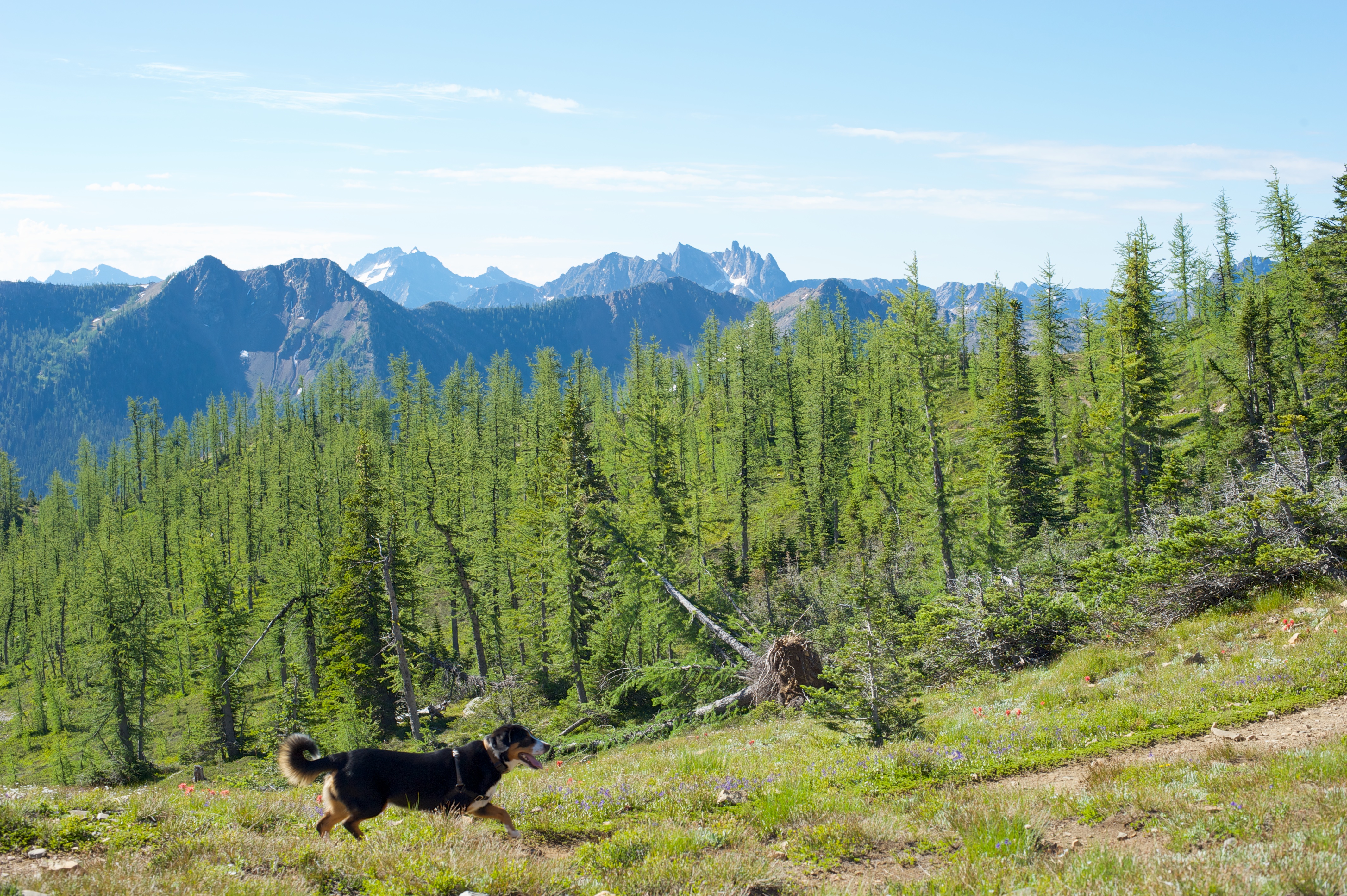 Photos: Hike Tatie Peak and Grasshopper Pass, Okanogan County, Washington