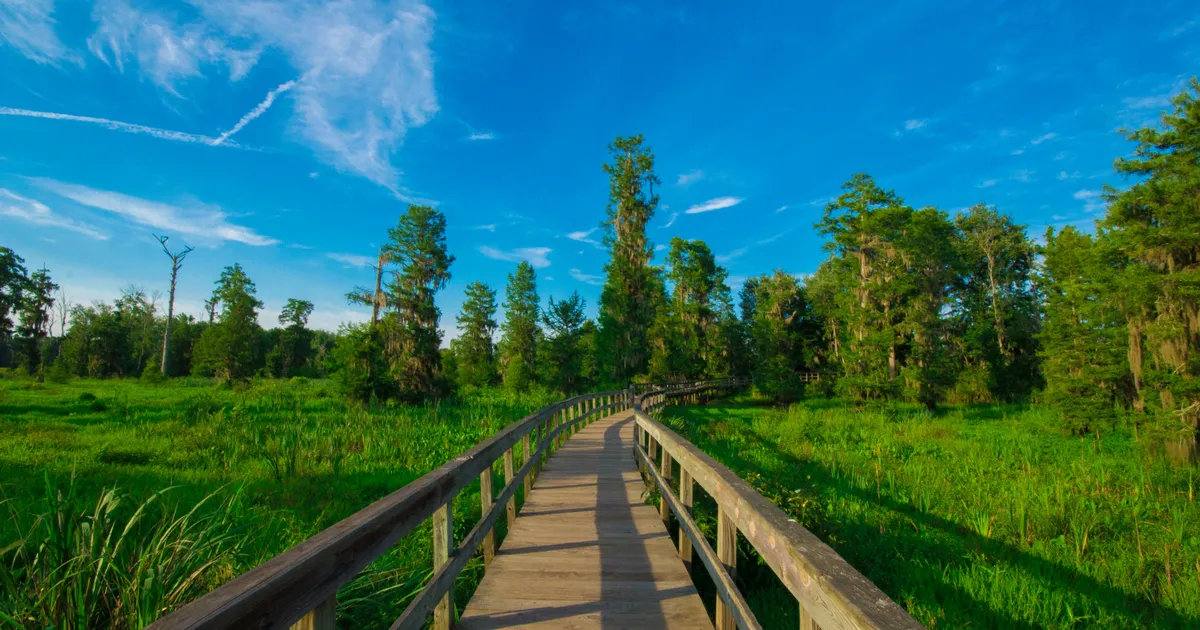 Hike through Phinizy Swamp, Augusta, Georgia