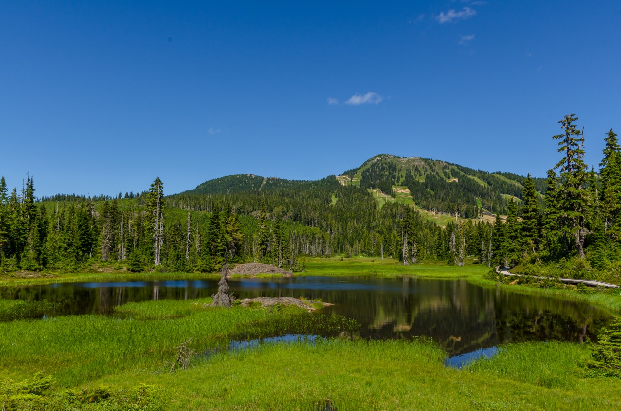 Centennial Loop Trail in Strathcona Provincial Park, Comox-Strathcona C ...