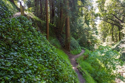 Explore Berkeley's Hidden Waterfall in Codornices Park, Berkeley Rose ...