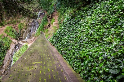 Explore Berkeley's Hidden Waterfall in Codornices Park, Berkeley Rose ...