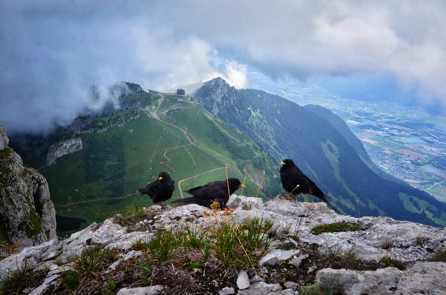 Climbing to Mesmerizing Views in the Swiss Alps