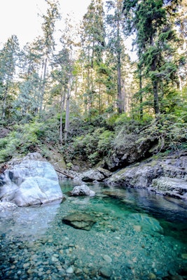 Swim at the Lynn Canyon Swimming Hole, Inter River Park