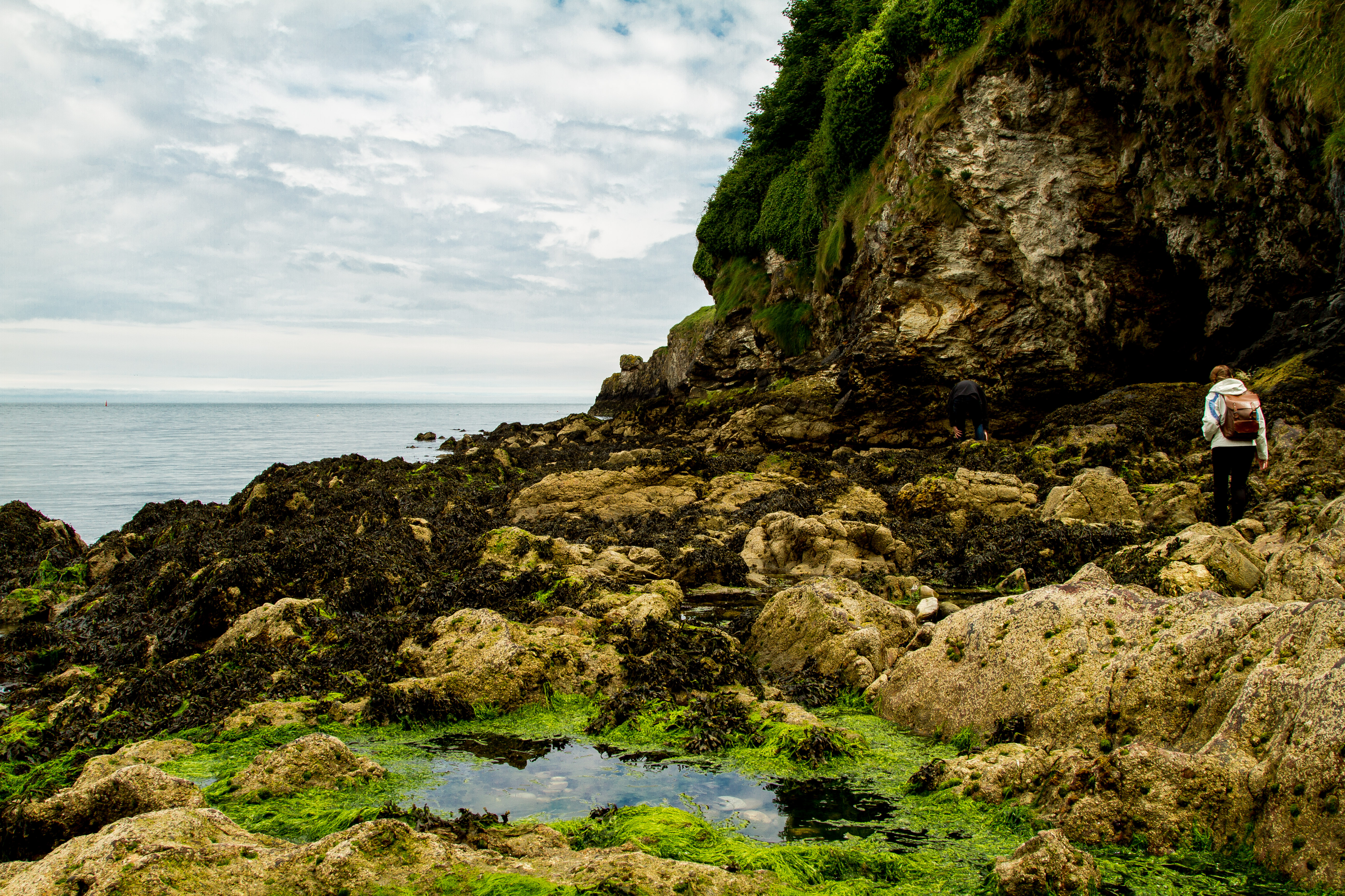 Photo of Hike the Cliff Path Loop