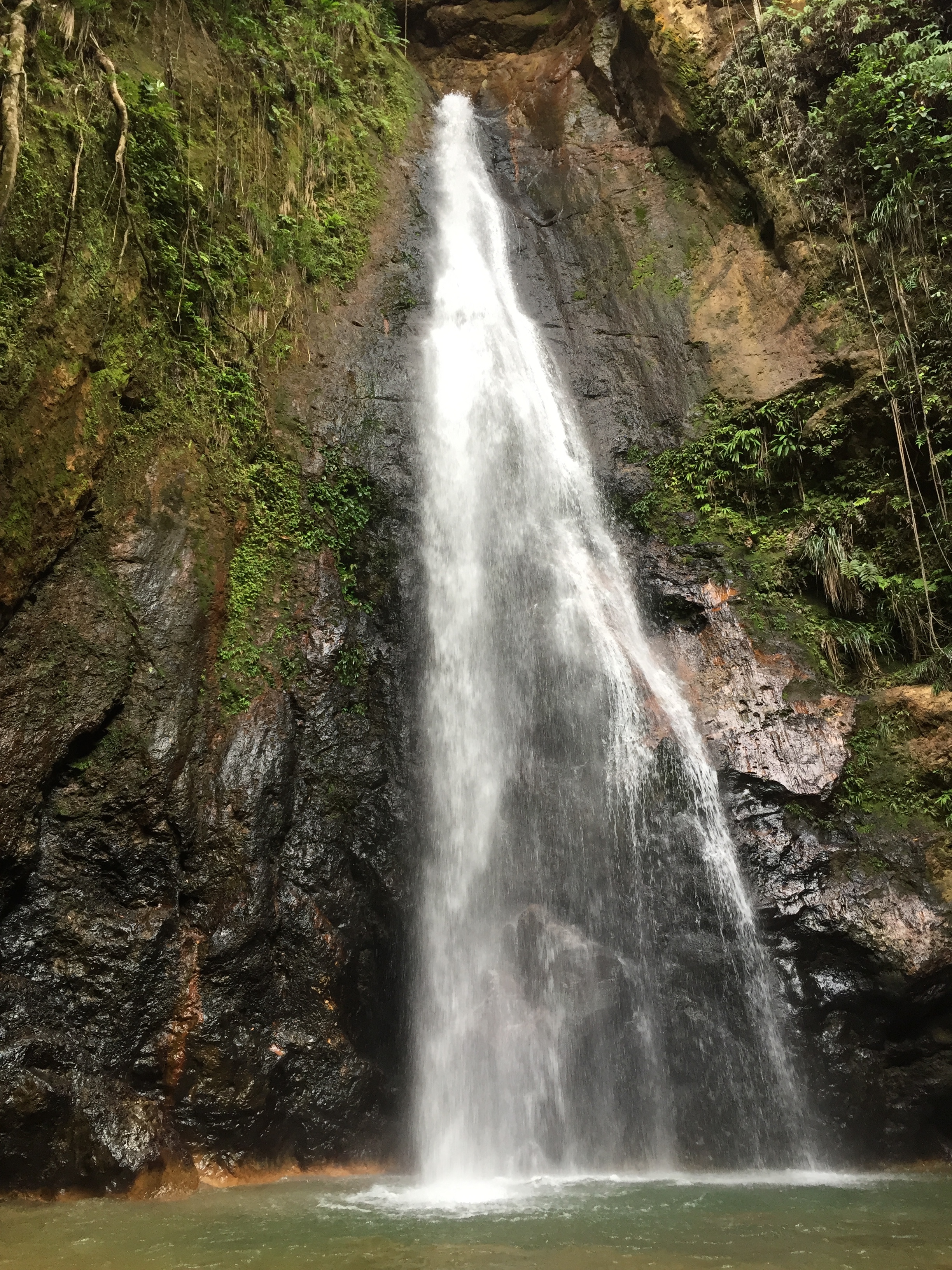 Hike to Syndicate Falls, Syndicate, Dominica