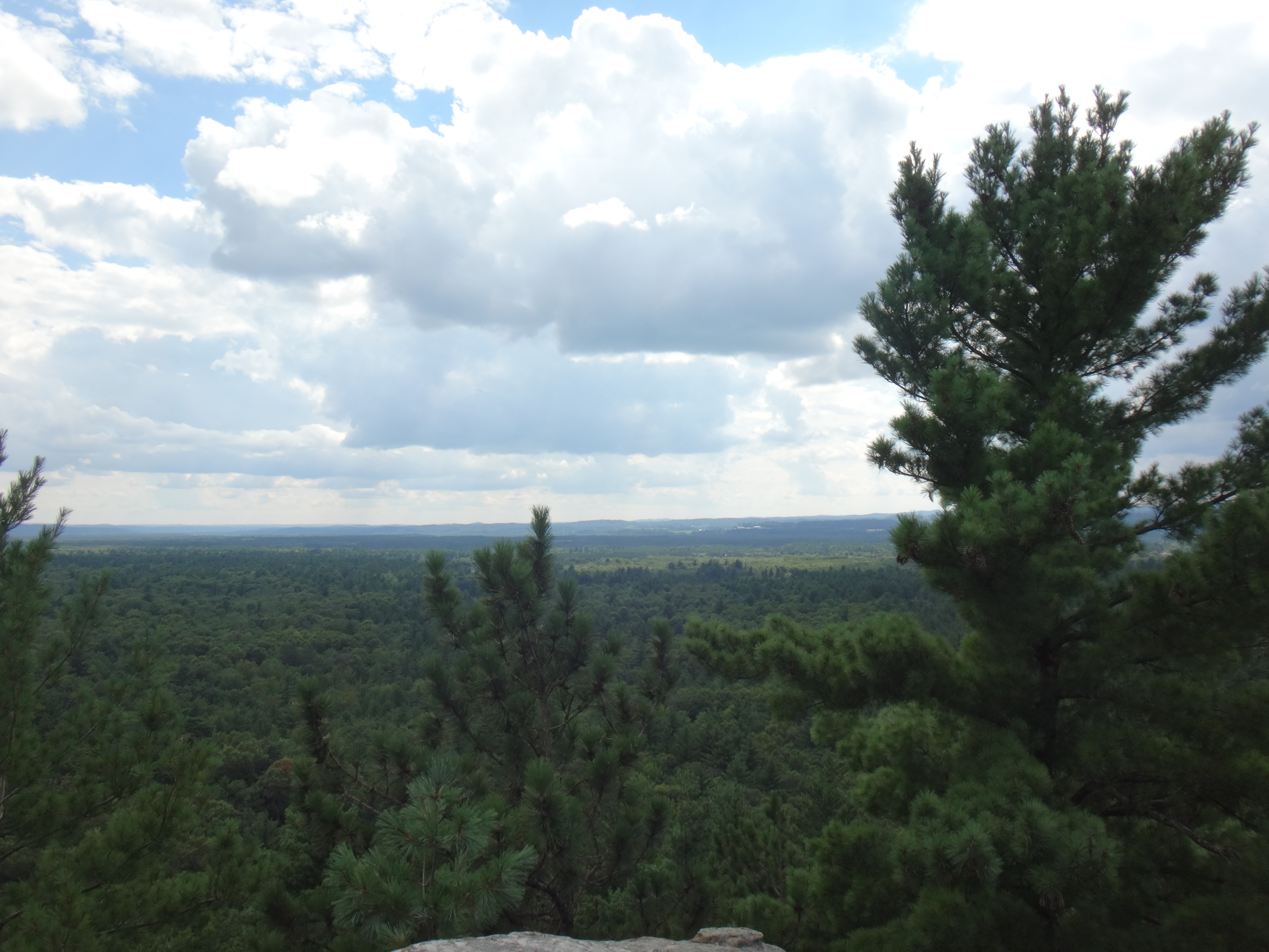 Photos: Castle Mound Lookout at Black River State Forest, Black River ...