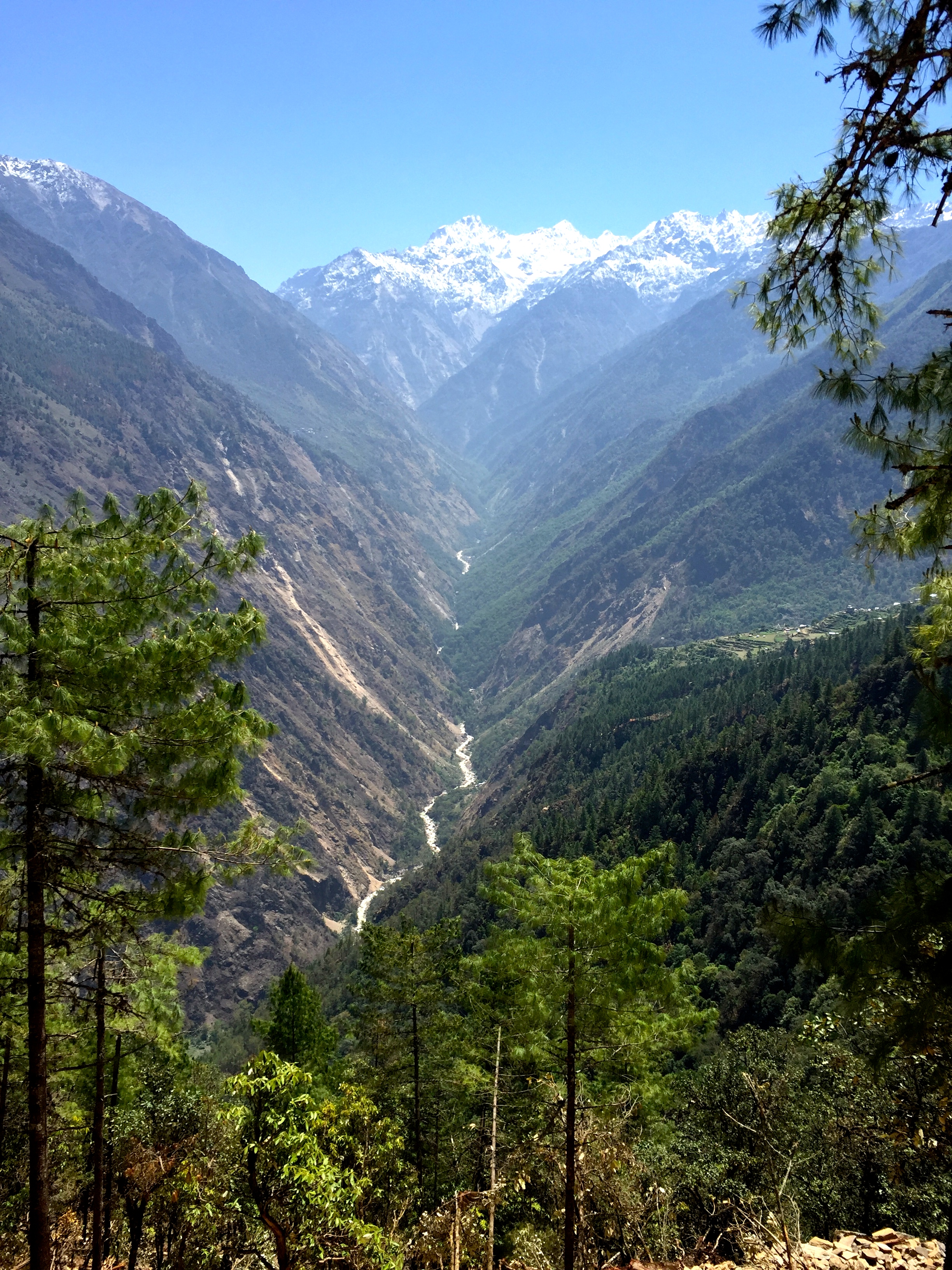 Travel with Purpose: Why You Should Trek Through Langtang Valley This Fall