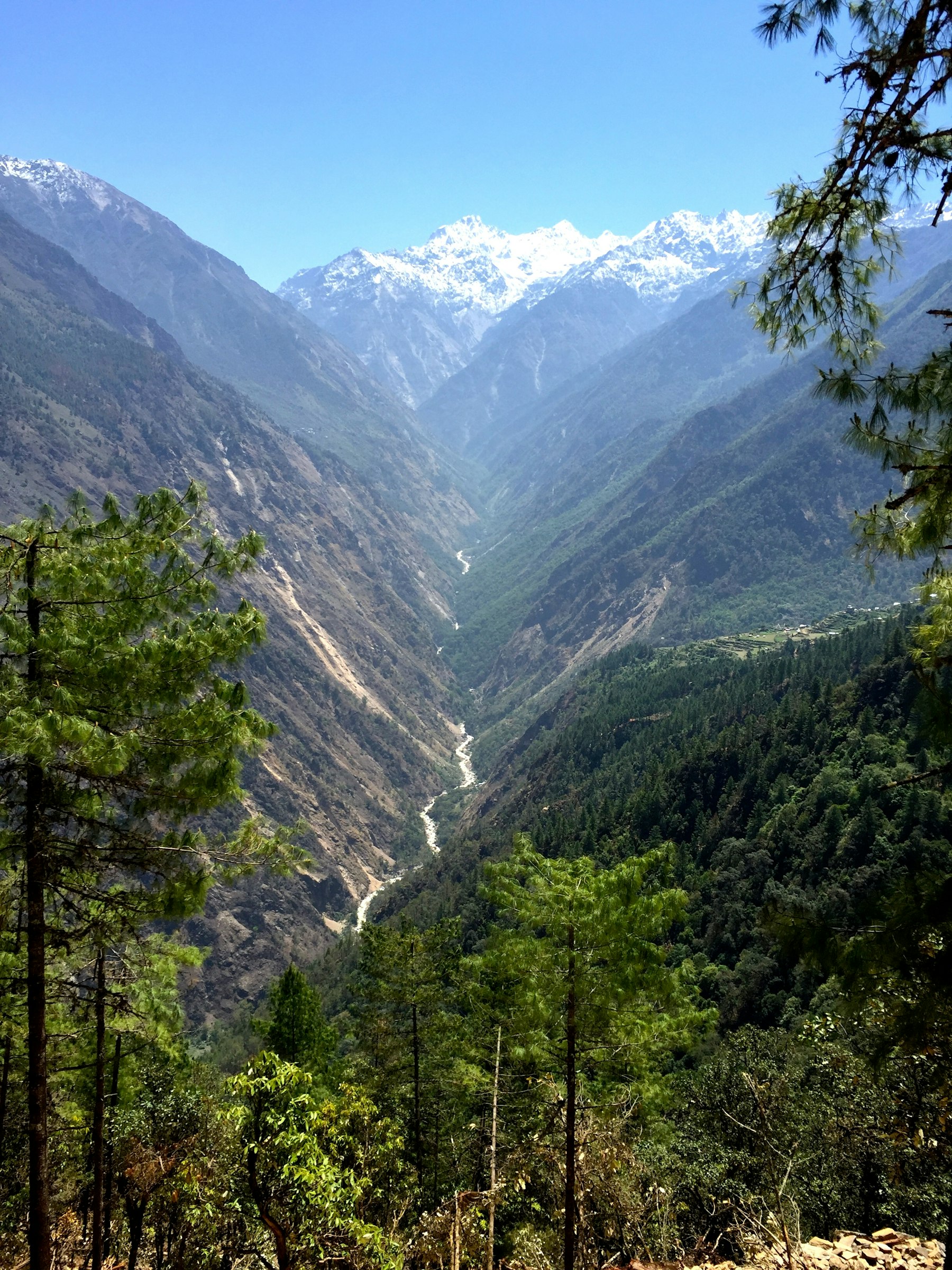 Travel with Purpose: Why You Should Trek Through Langtang Valley This Fall