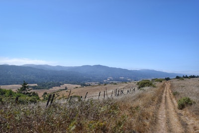 Hike Bolinas Ridge, Cross Marin Trailhead