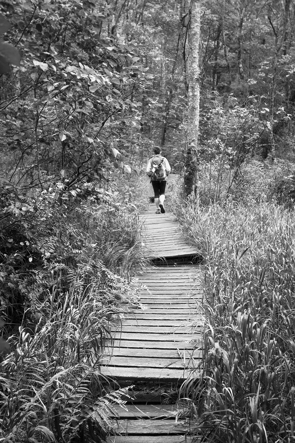 Photos: Pulpit Rock Conservation Area Loop, Bedford, New Hampshire