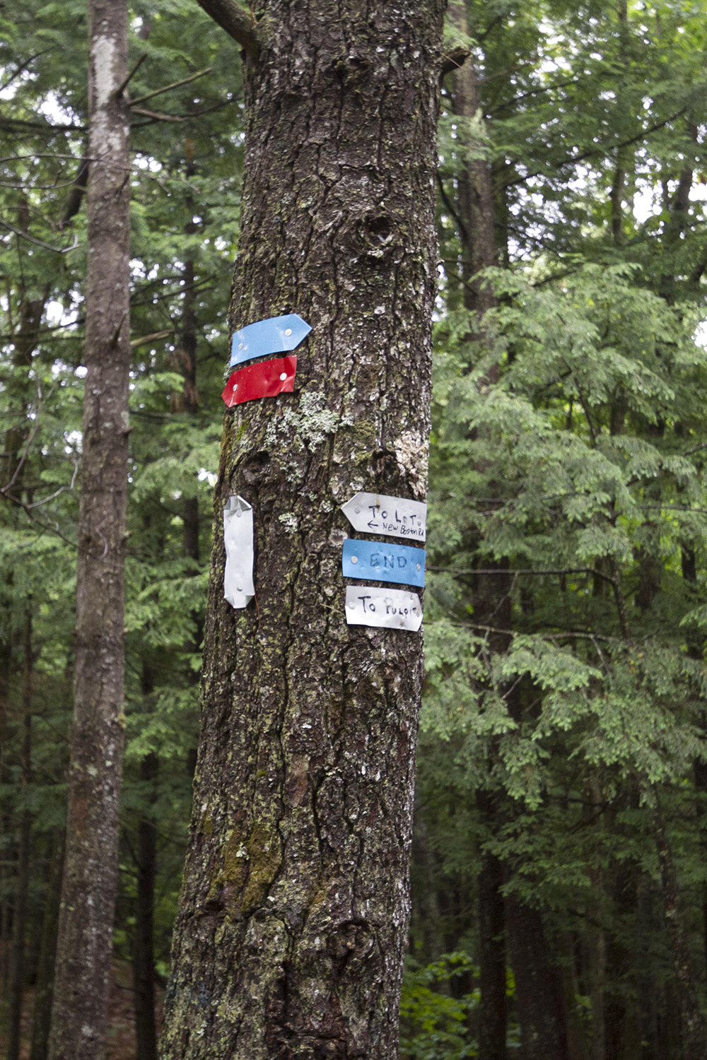 Photos: Pulpit Rock Conservation Area Loop, Bedford, New Hampshire