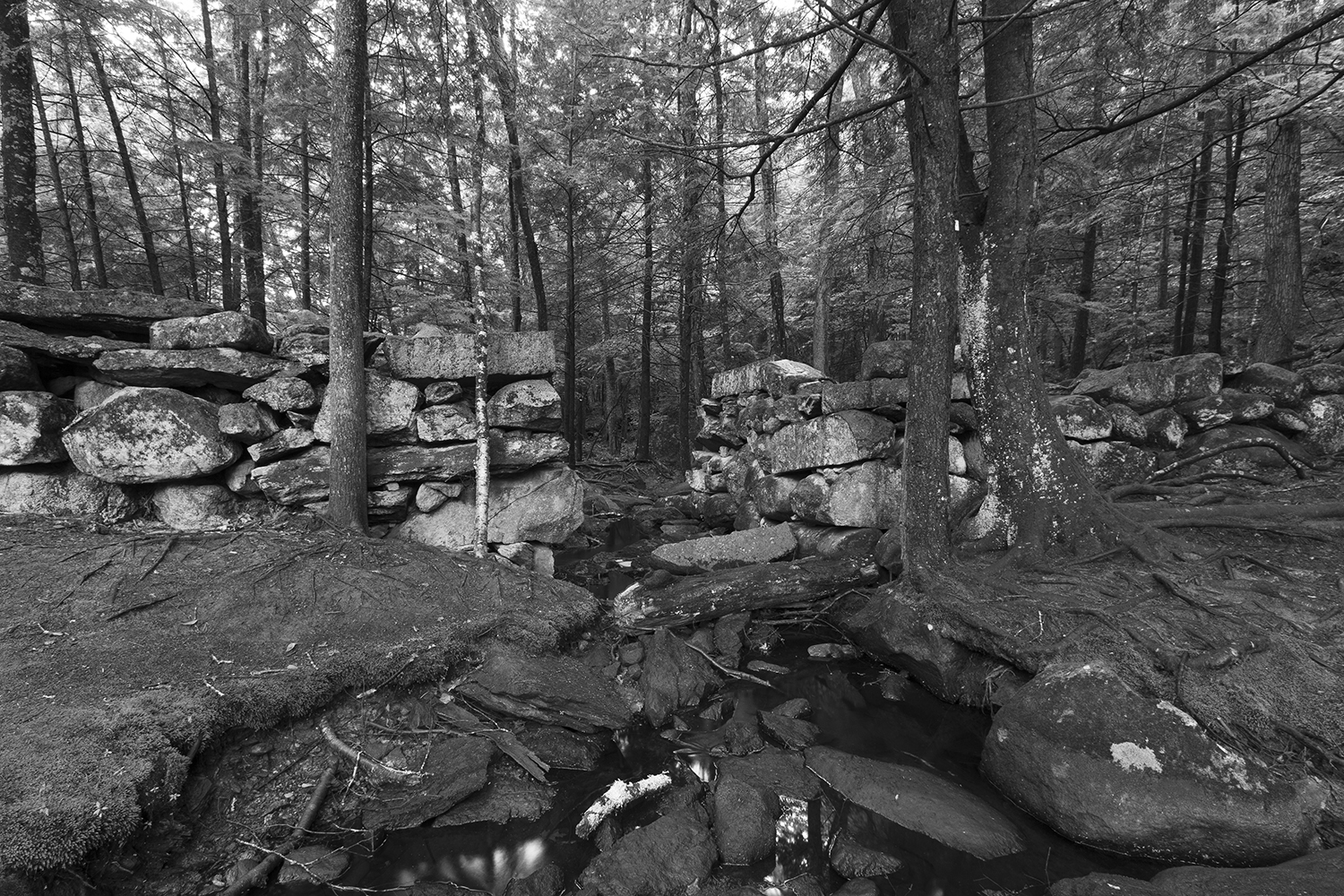 Photos: Pulpit Rock Conservation Area Loop, Bedford, New Hampshire