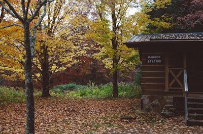 Hike the North Plateau-North Rim Loop at Savage Gulf, Savage Gulf ...