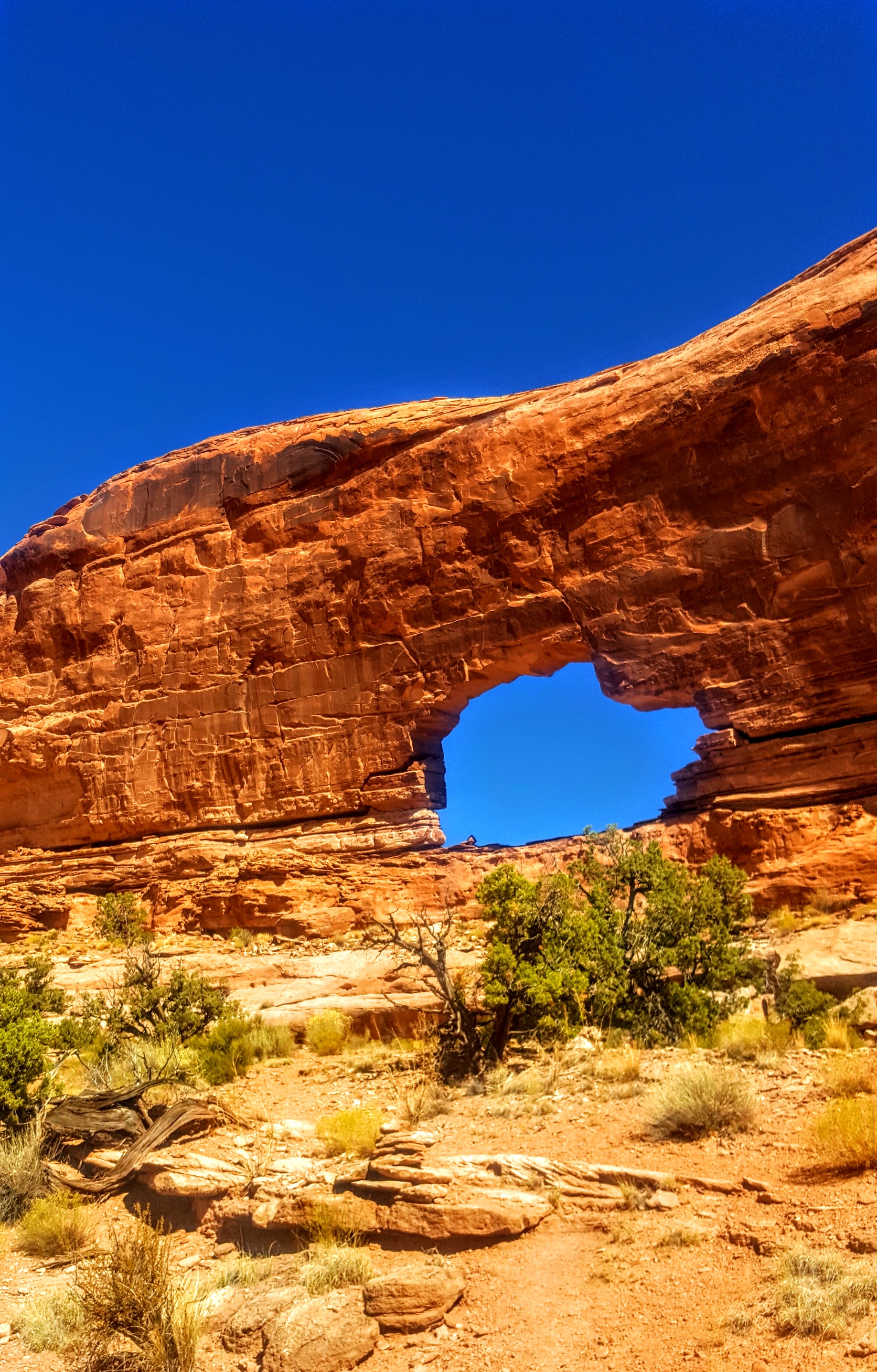 Jeep Arch Trail, Moab, Utah