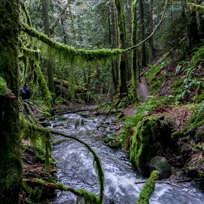 Hike Mount Prevost, Bings Creek Mt Prevost Trailhead