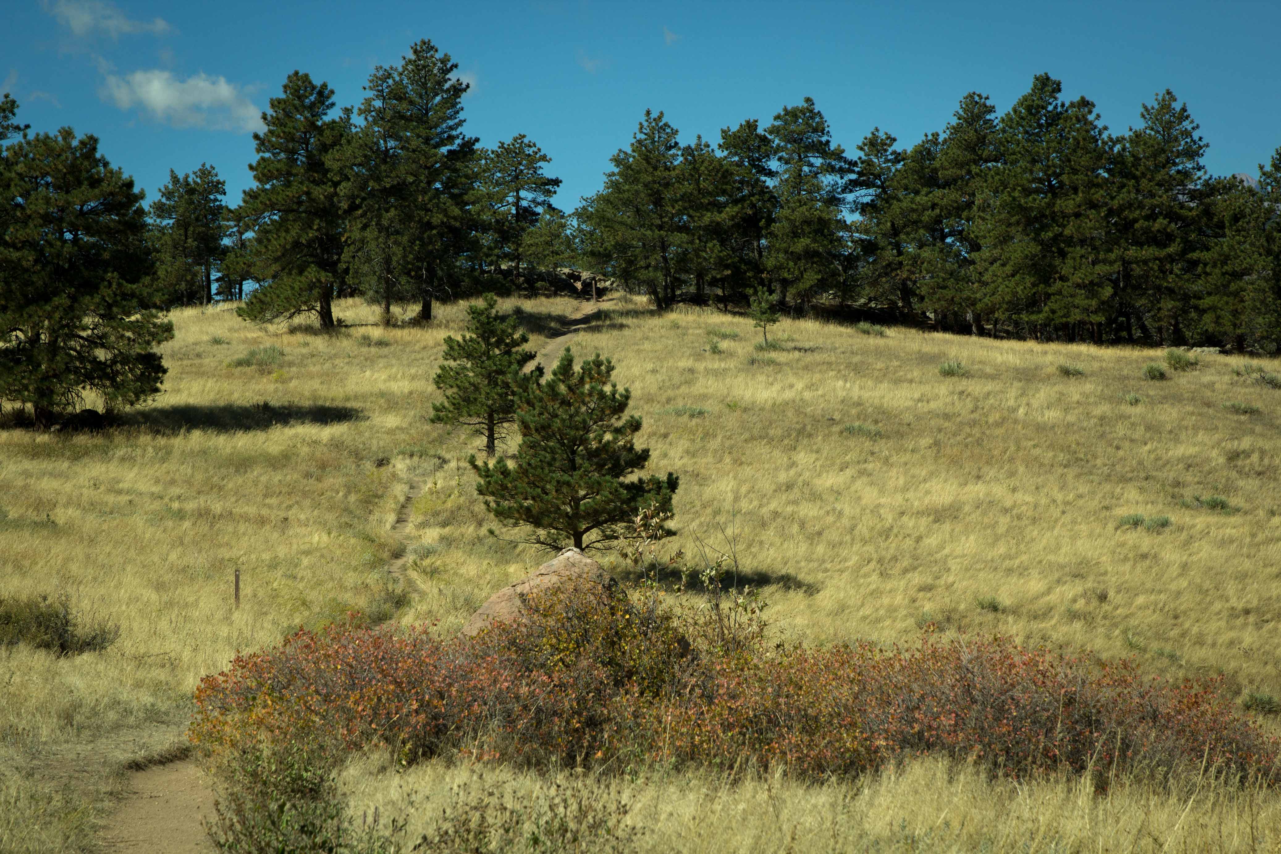 Sleepy Lion Trail, Lyons, Colorado