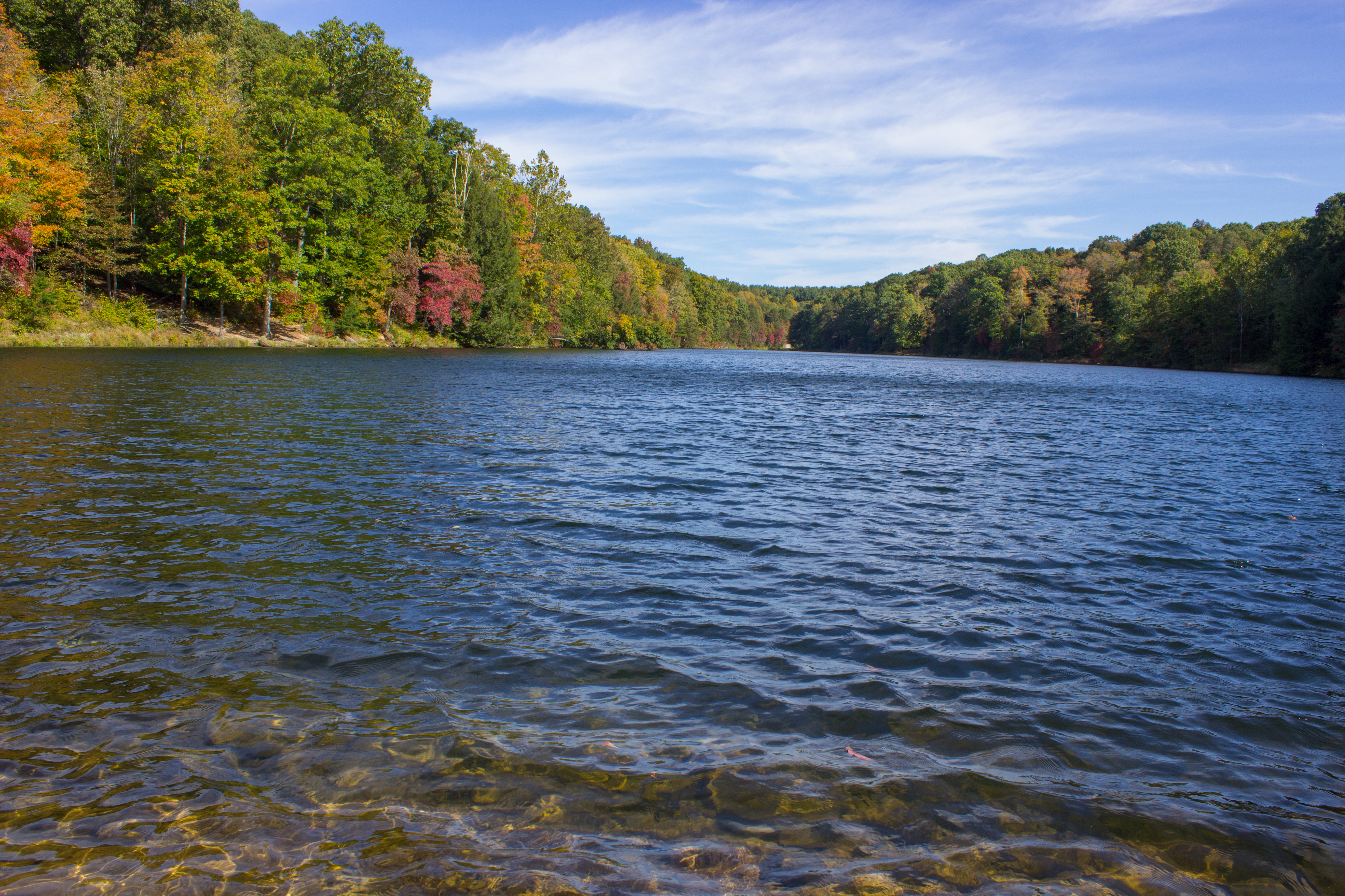 Hike to Rose Lake, Logan, Ohio