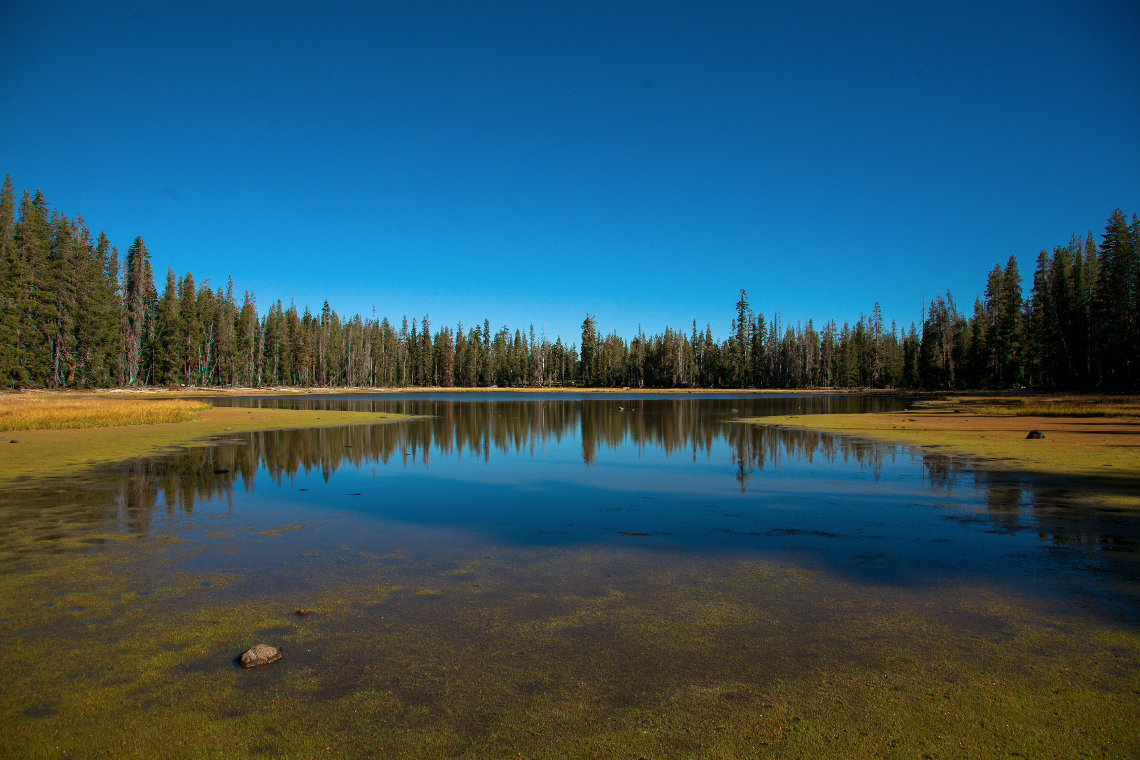 Drake Lake Trail, Plumas County, California