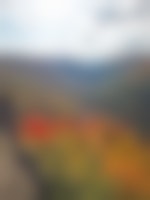 Hike to Lindy Point in Blackwater Falls State Park, Lindy Point Parking Lot