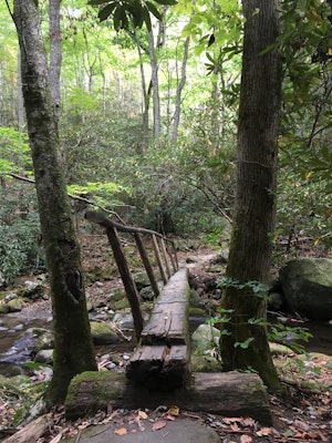 Hike to Rocky Top, Cade's Cove Visitor Center