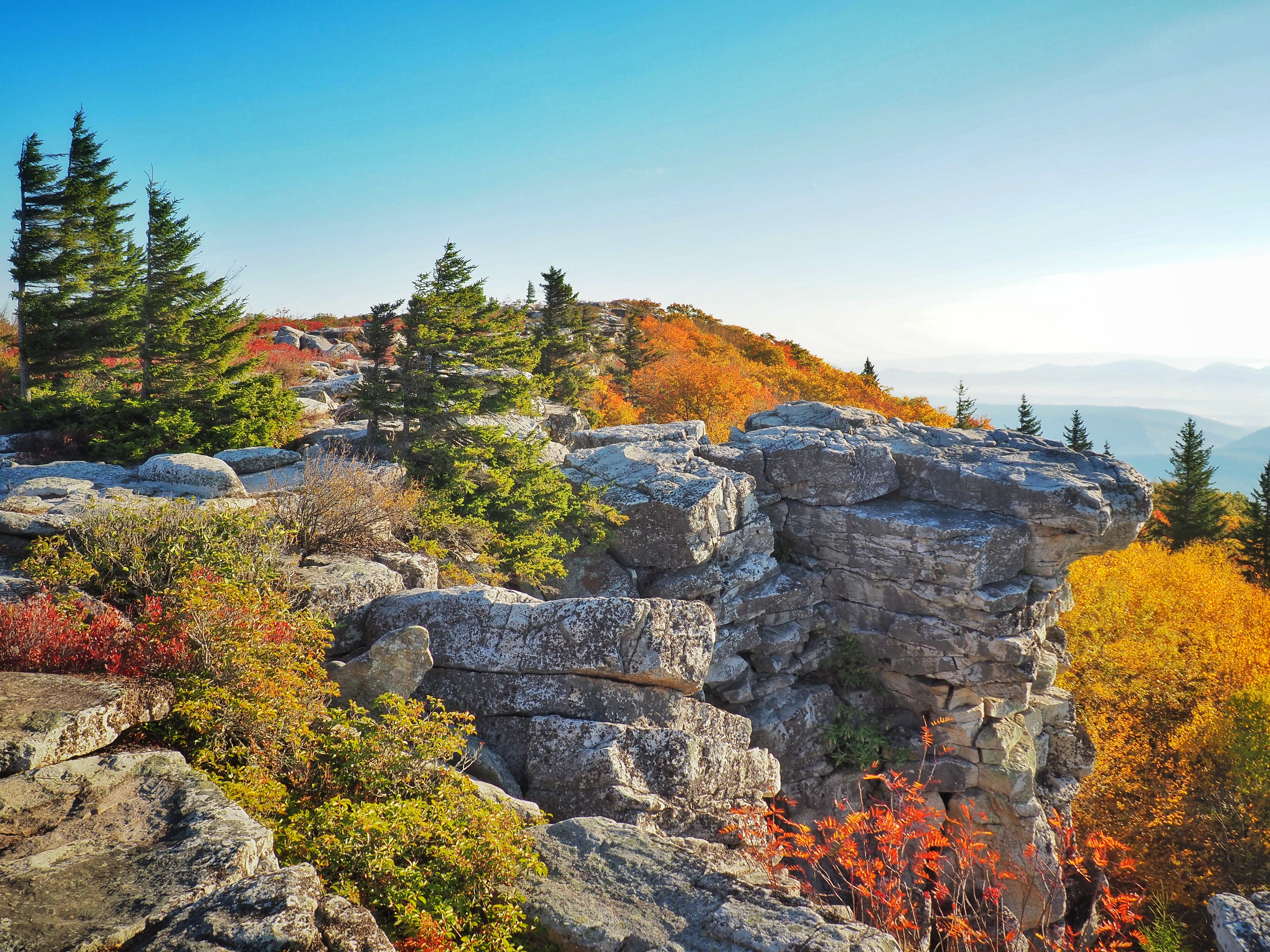 Photo of Photograph Bear Rocks Preserve
