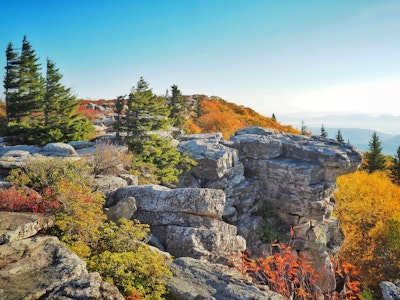 Photograph Bear Rocks Preserve, Bear Rocks Preserve