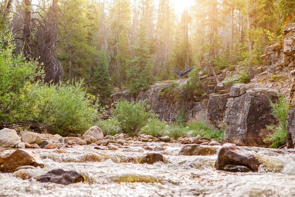 Camp up Murdock Basin Road, Utah