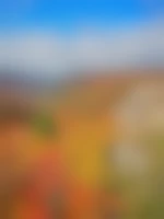 Hike to Rohrbaugh Cliffs in Dolly Sods, Rohrbaugh Plains Trailhead