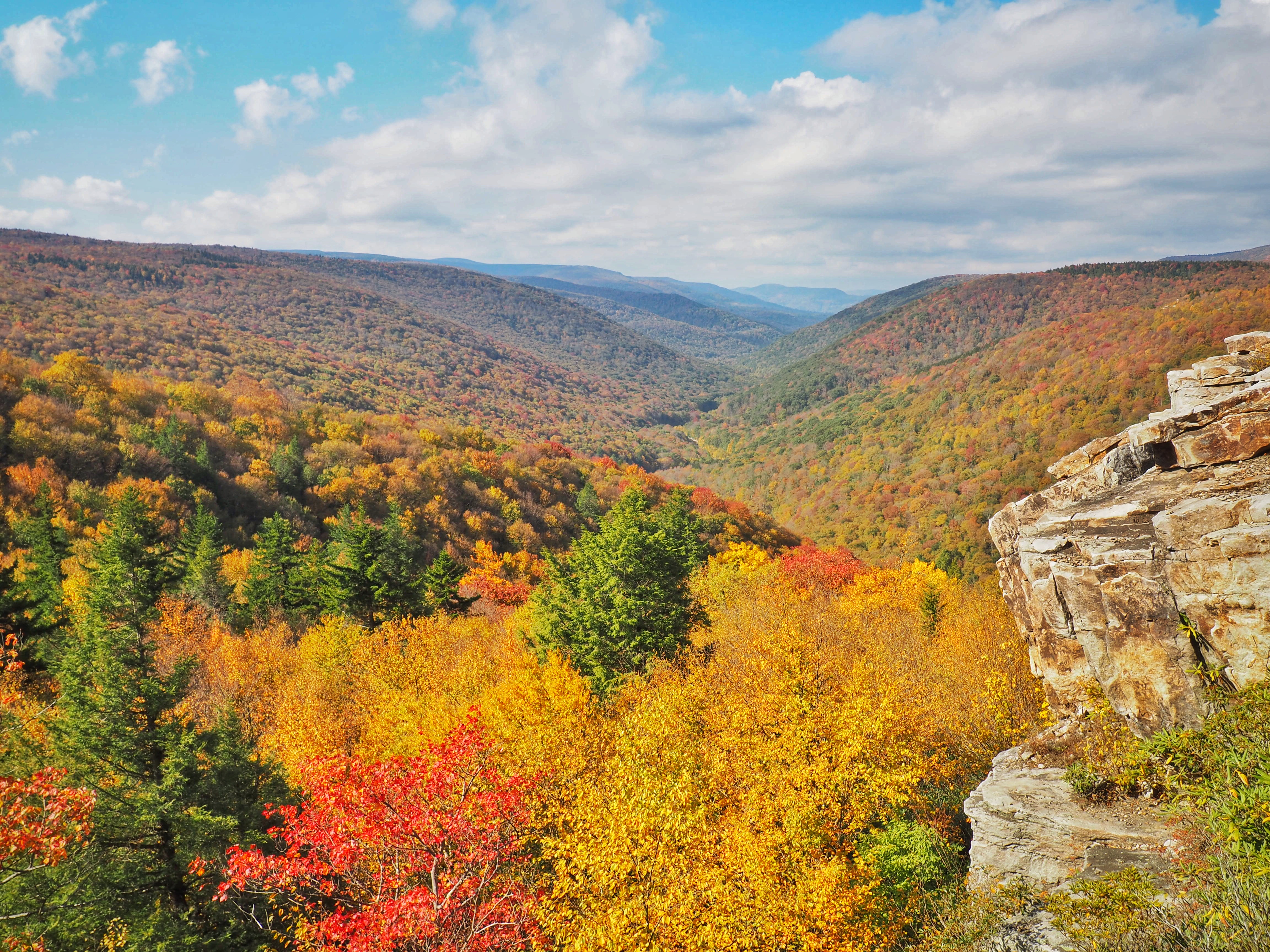 Hike to Rohrbaugh Cliffs in Dolly Sods, Davis, West Virginia